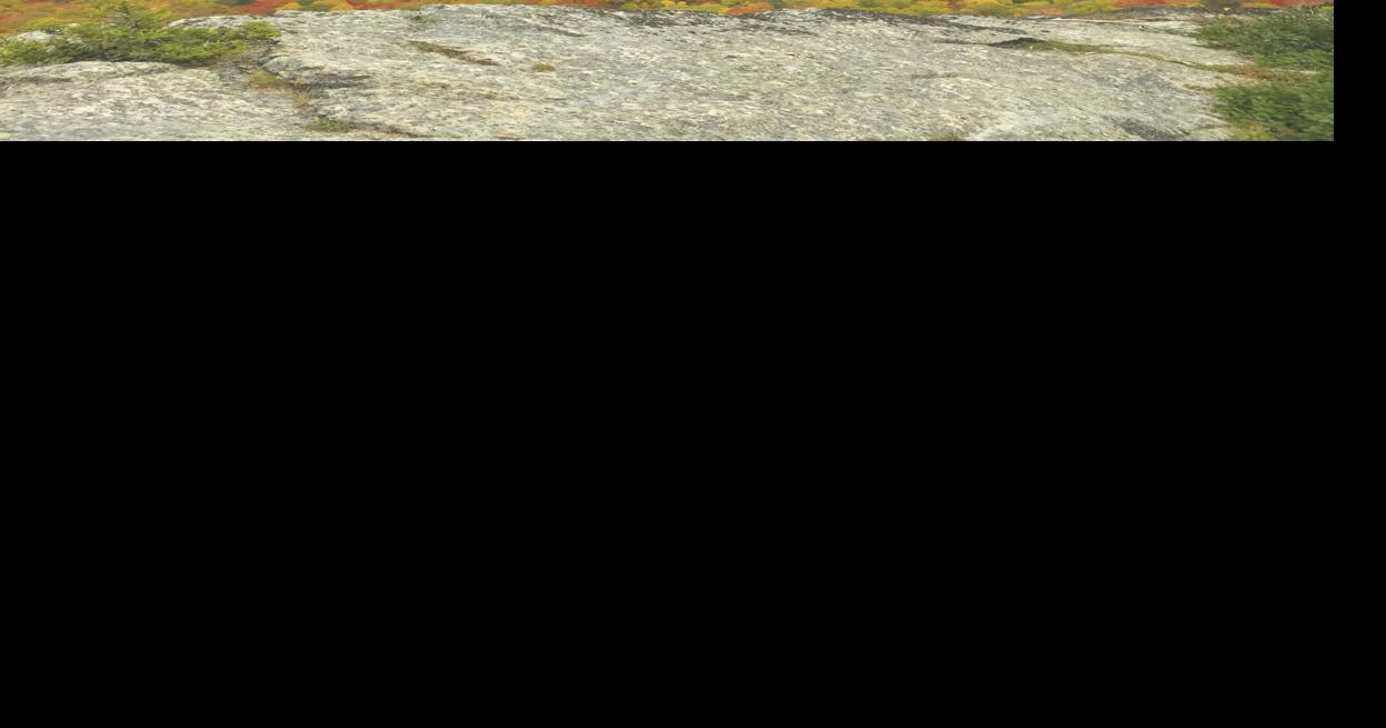 Appreciating the foliage on Mount Willard | Hiking News ...