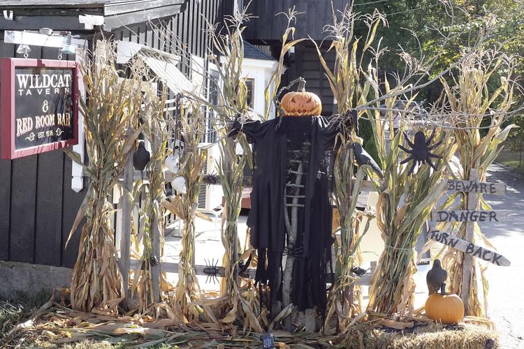 Season's events: Pumpkin People, fairs and foliage | Local News ...