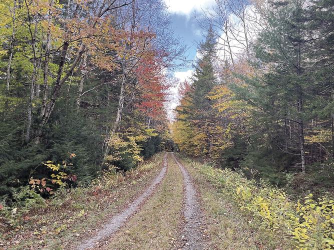 Wheel Family Fun: Bear Notch boogey foliage ride | Family Biking ...