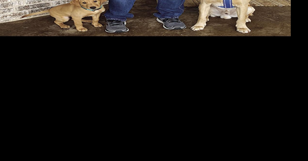 Darren Pool to Serve Veteran Community with Warriors Keep | News ...