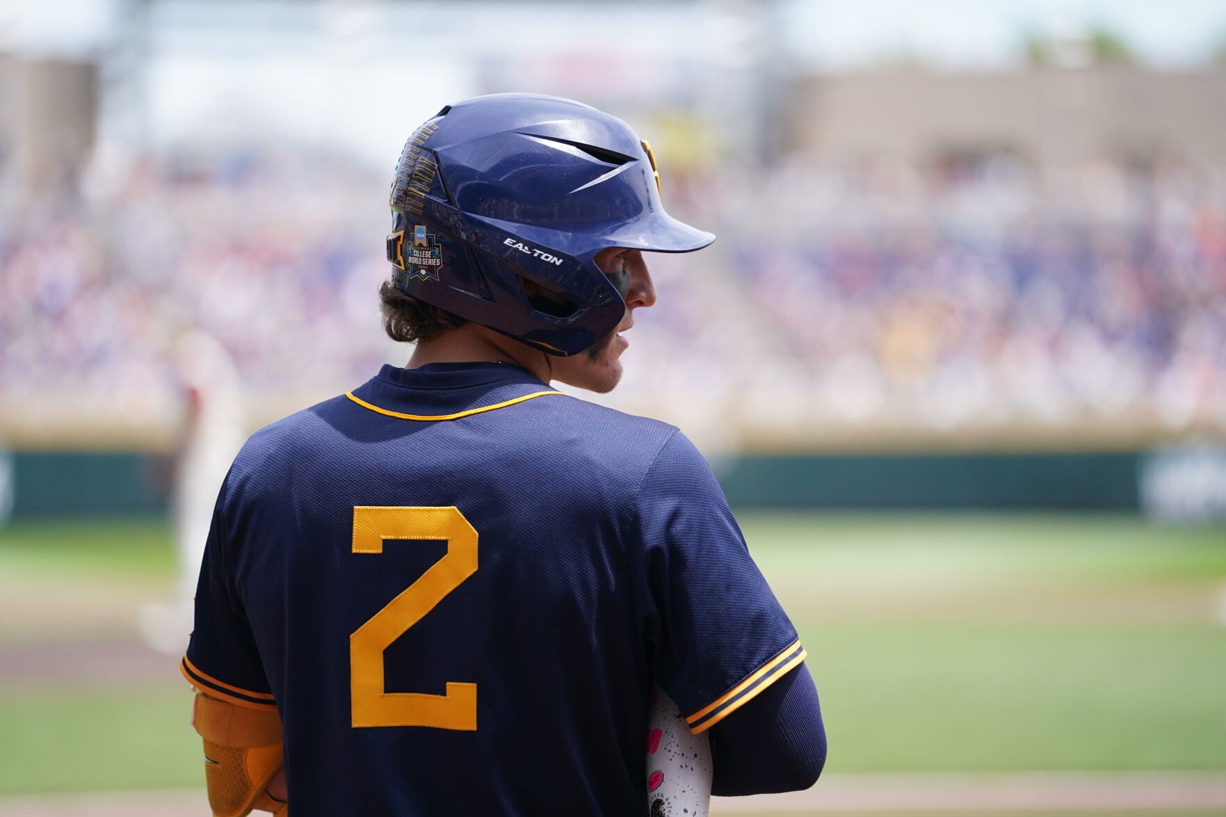 CWS West Virginia Troy Baseball | Sports | couriernews.com