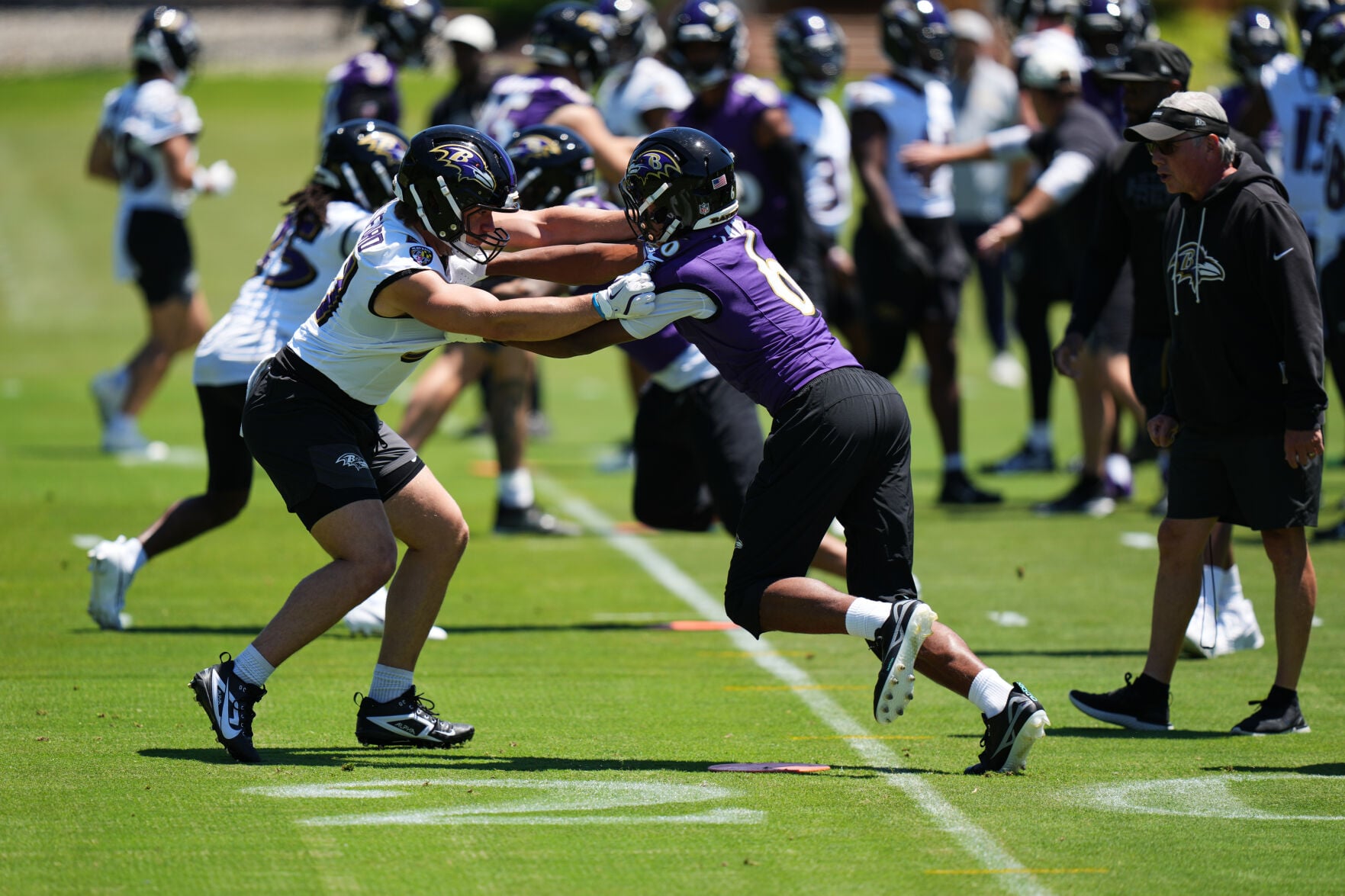 Ravens Football | Sports | couriernews.com
