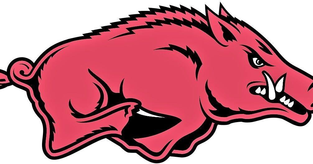 Five Razorbacks fulfill initial journey to Olympic Games | Sports ...