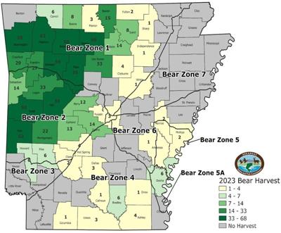 Arkansas bear hunters eclipse harvest record | Sports | couriernews.com
