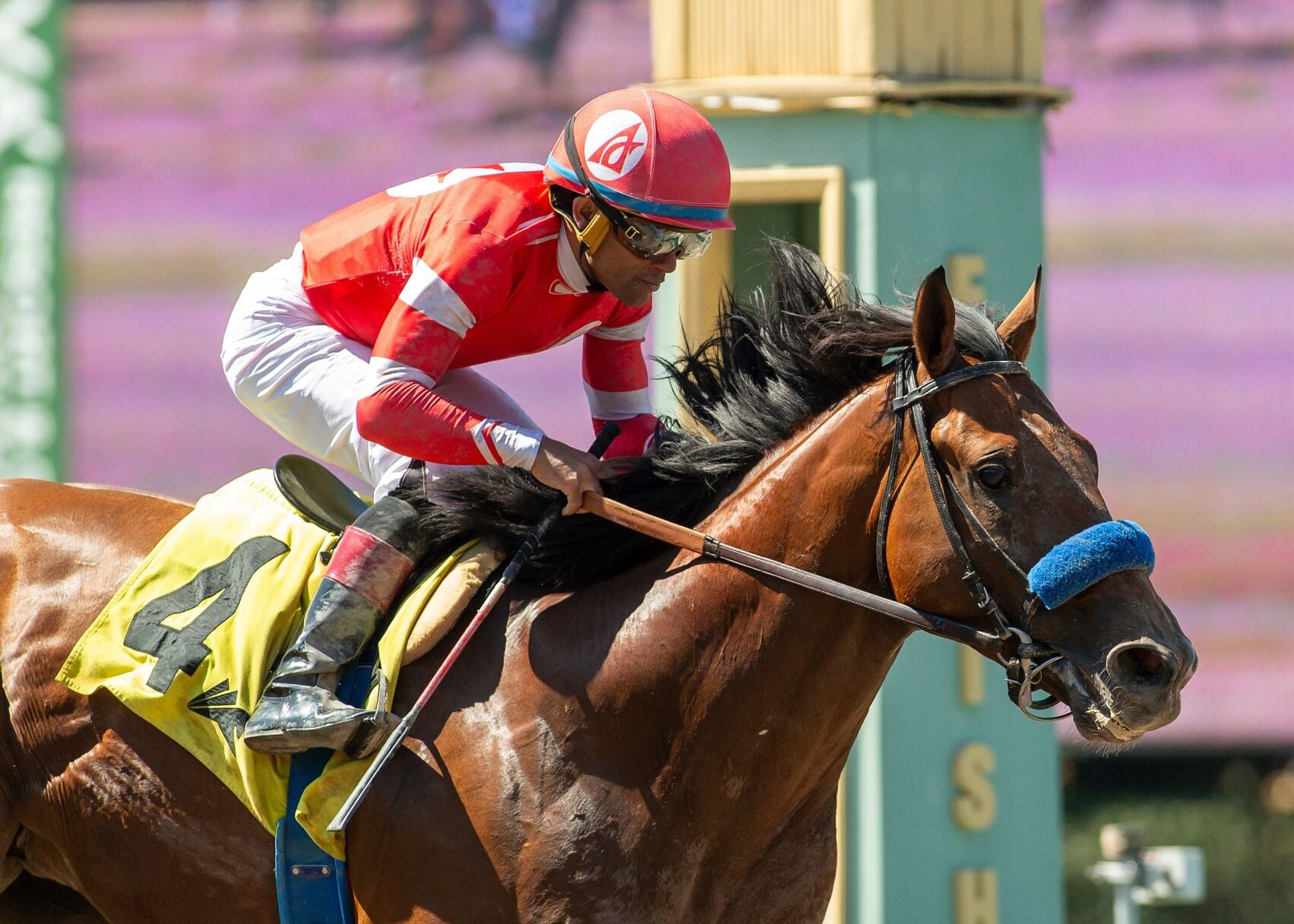Santa Anita Horse Racing | Sports | couriernews.com