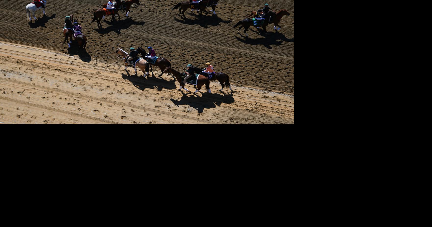 Preakness Horse Racing | Sports | couriernews.com