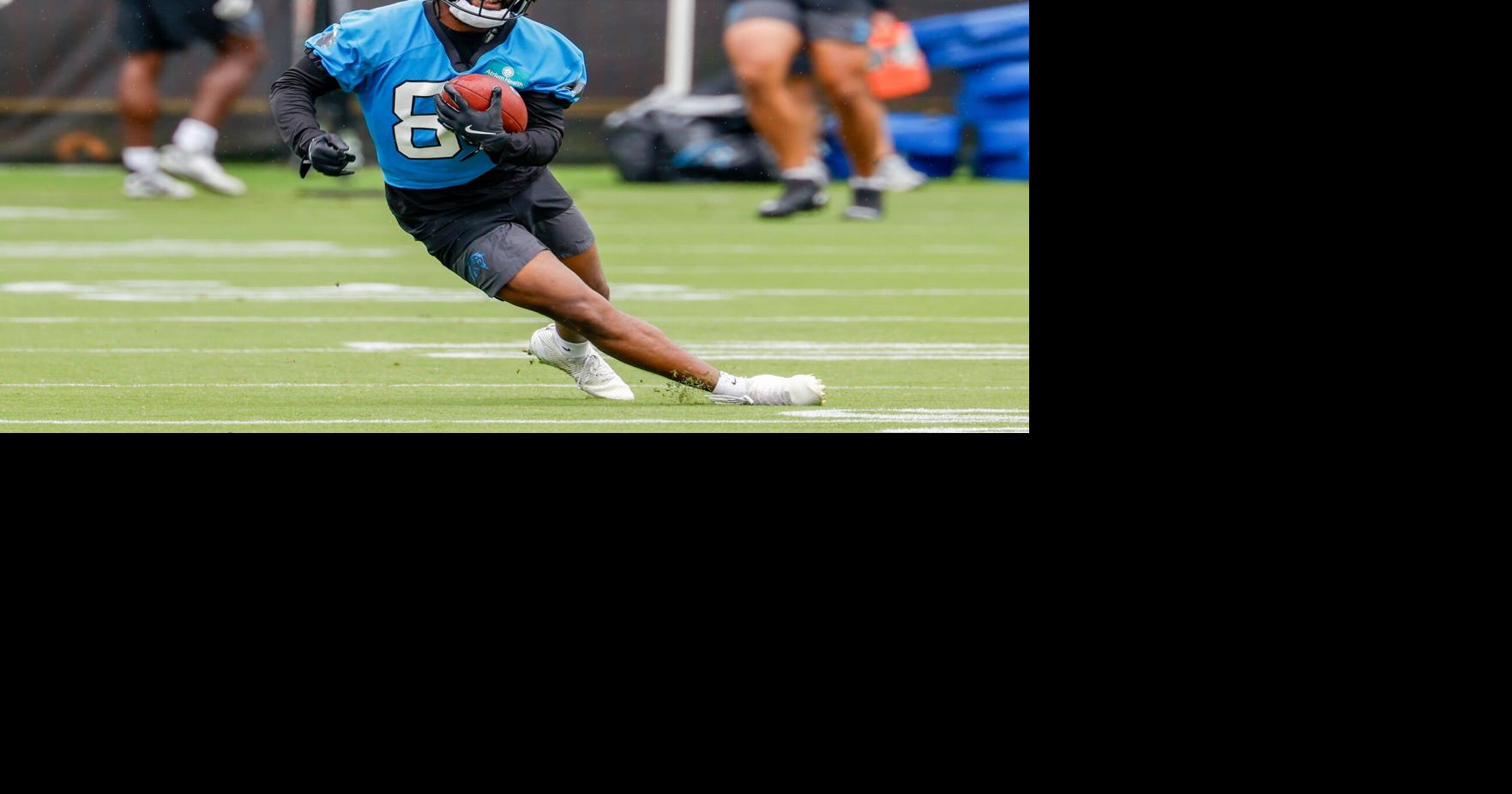 Panthers Football | Sports | couriernews.com