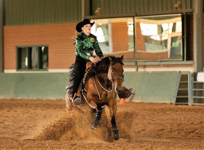 Meimerstorf leads Baylor into Big 12 equestrian meet | Sports ...