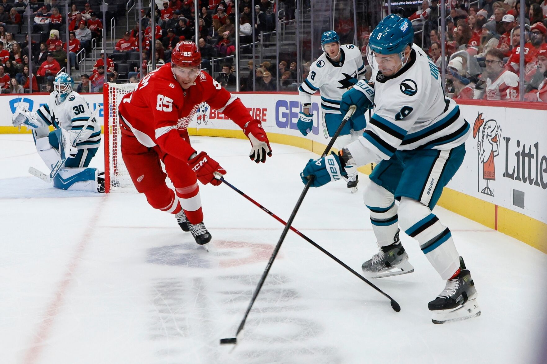 Sharks Red Wings Hockey | Sports | couriernews.com