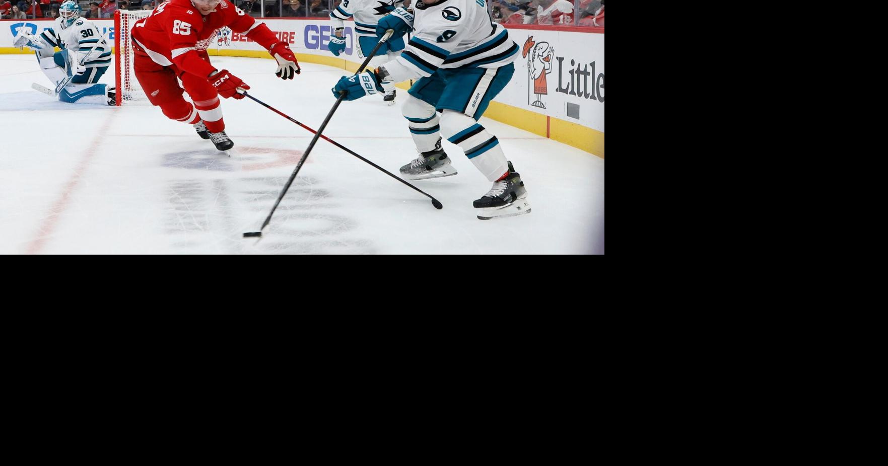 Sharks Red Wings Hockey | Sports | couriernews.com