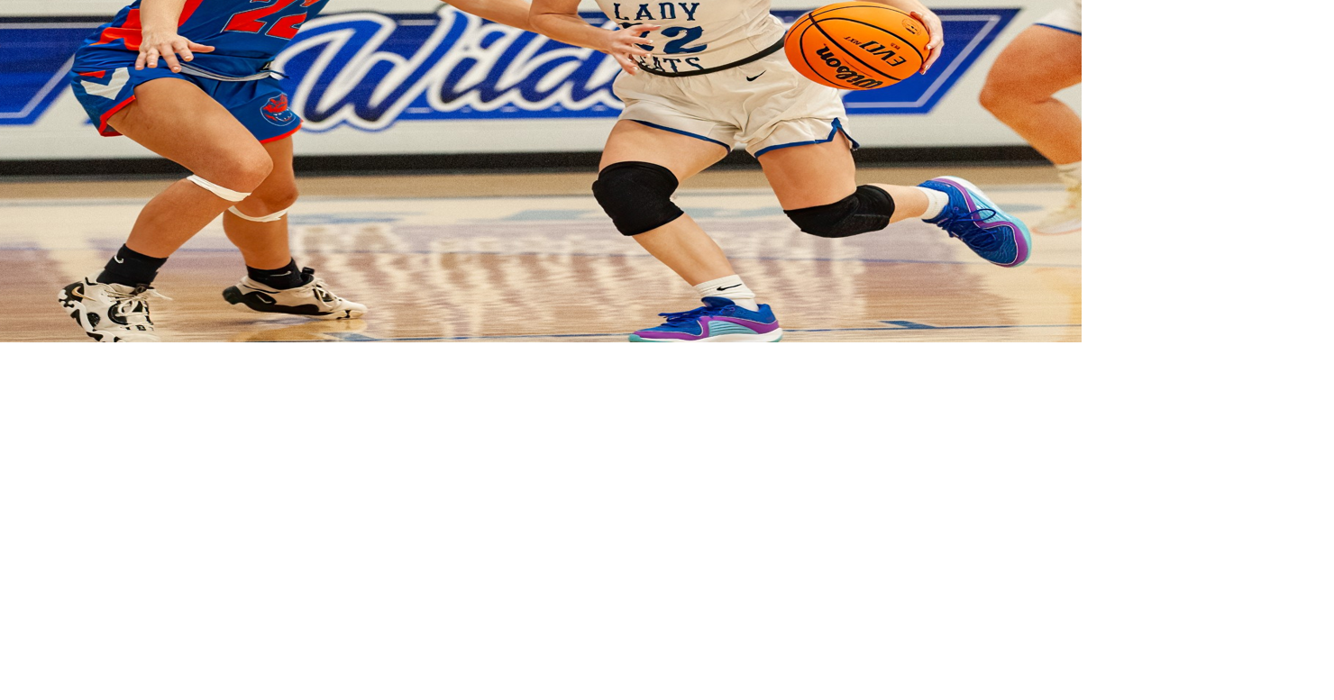 Unbeaten Lady Gators top Hector | Sports | couriernews.com