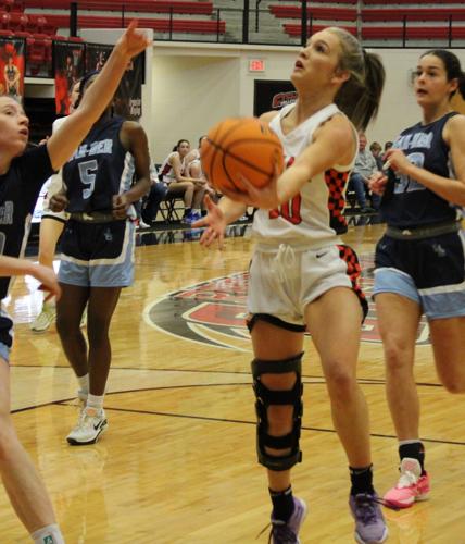 Lady Warriors fall short against Springdale-Harber | Sports ...
