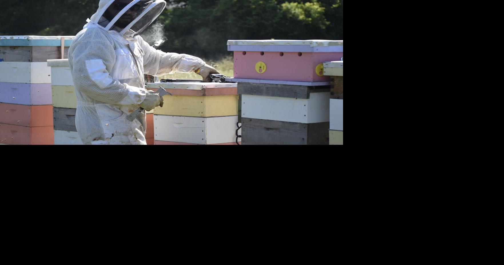 Jake Rye the Bee Guy | News | couriernews.com