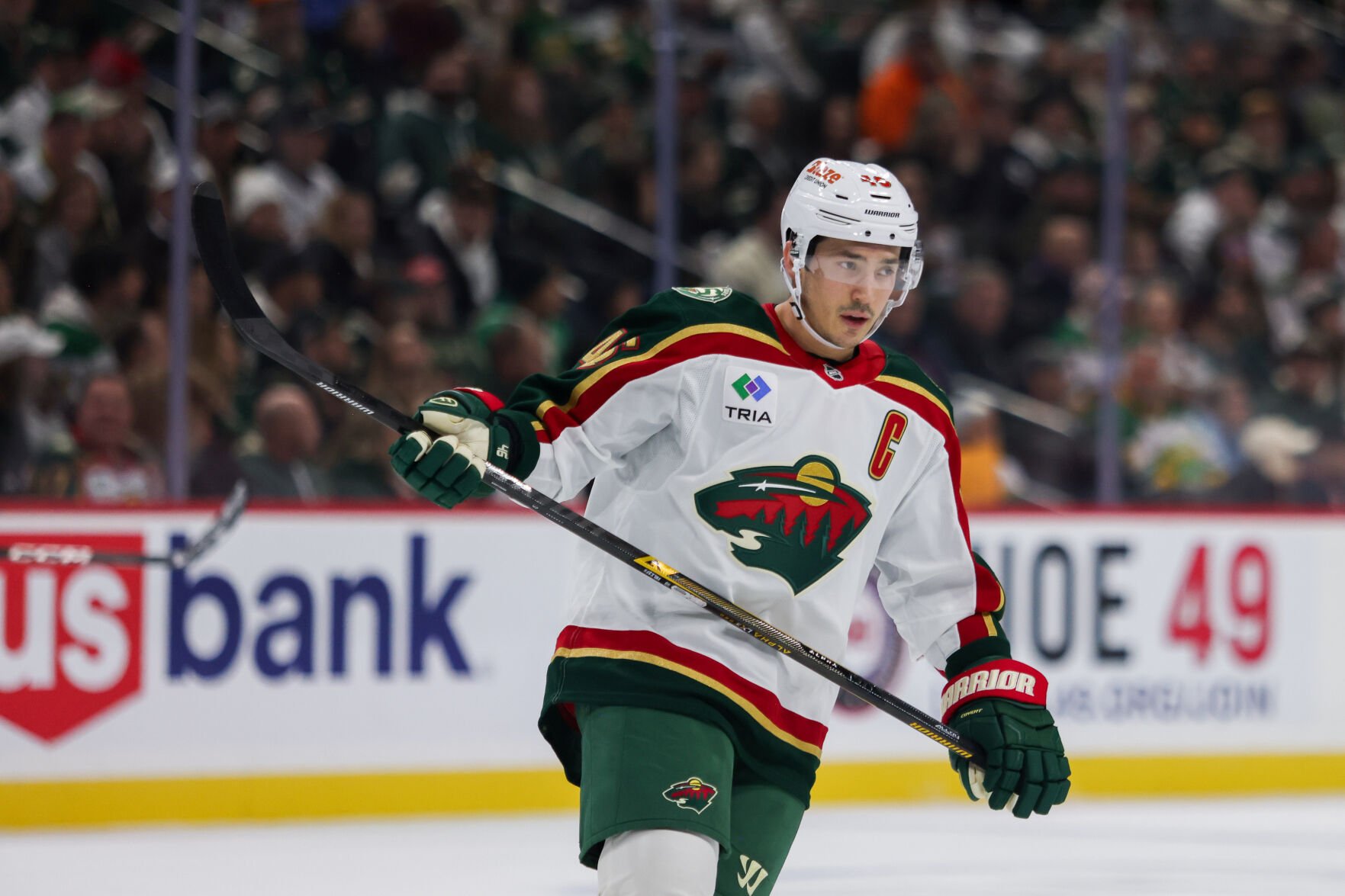 Wild Panthers Hockey | Sports | couriernews.com