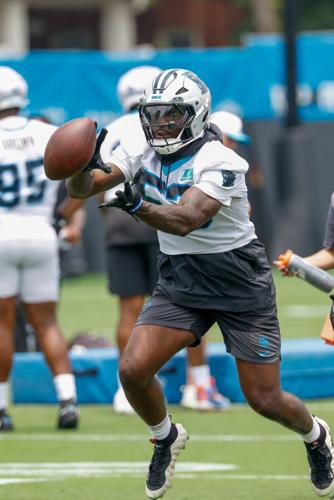Panthers Football | Sports | couriernews.com