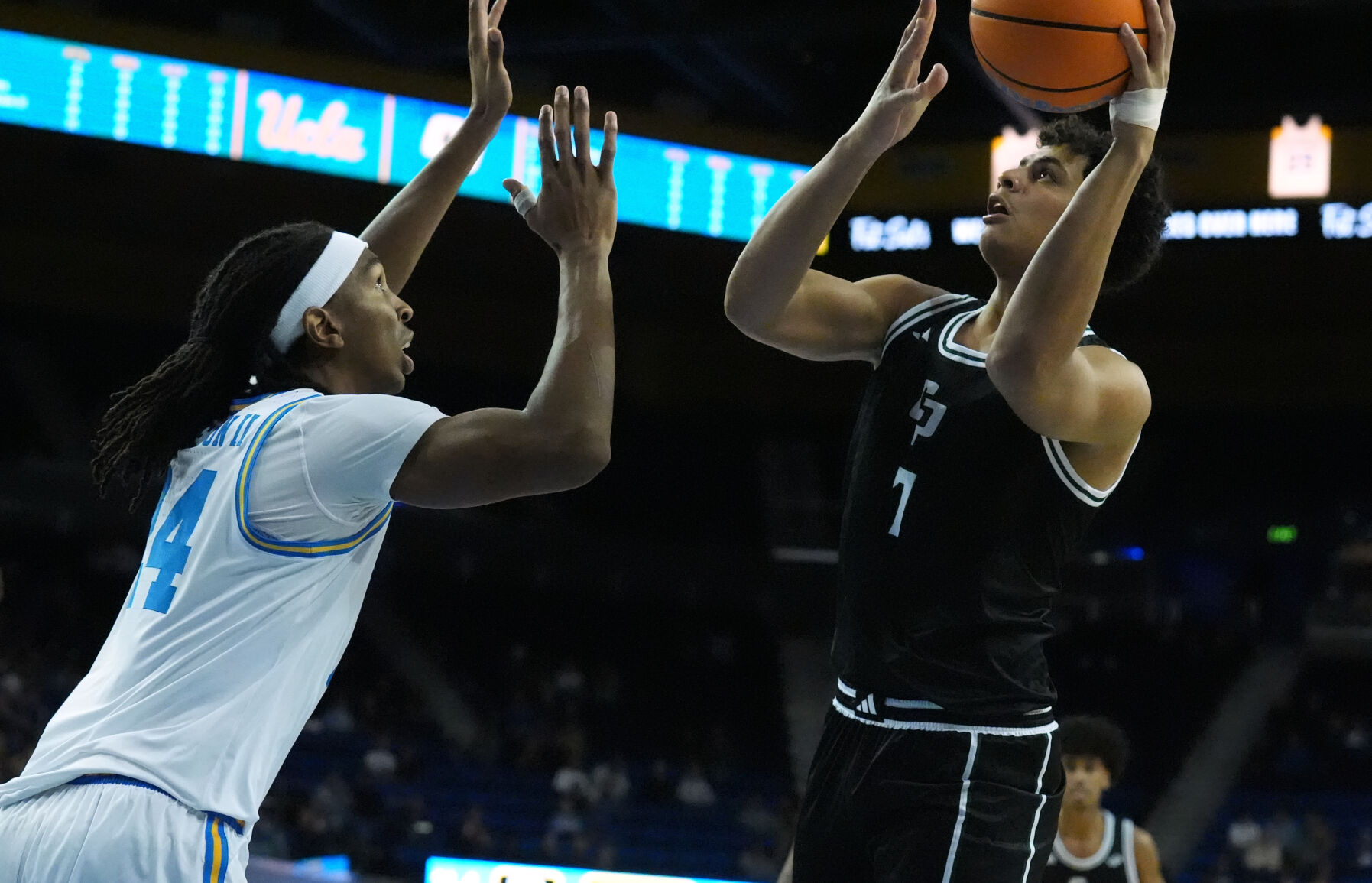 UCLA Cal Poly Basketball | Sports | couriernews.com