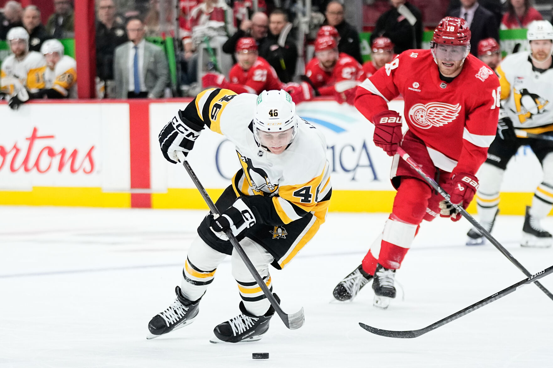 Penguins Red Wings Hockey | Sports | couriernews.com