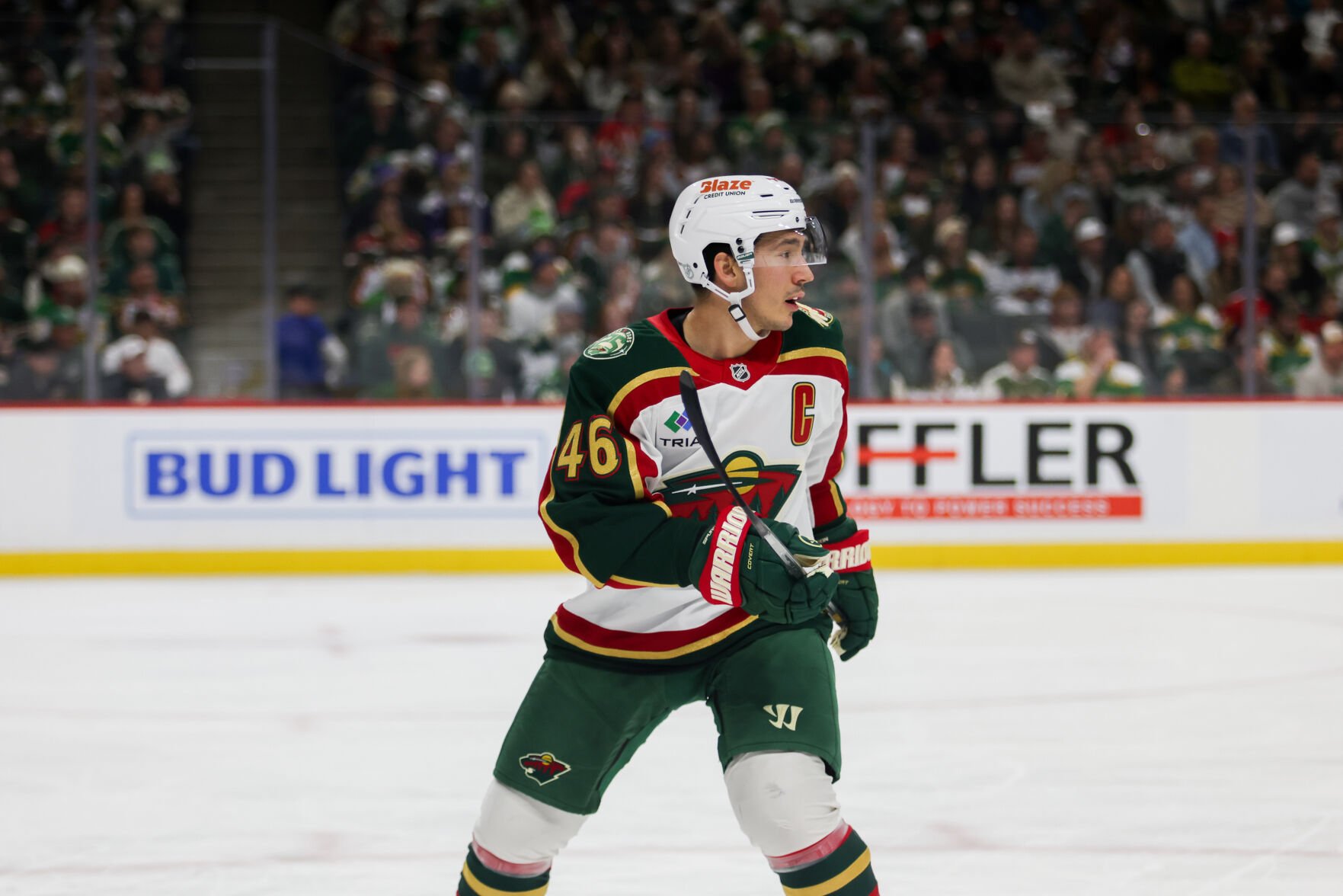 Wild Panthers Hockey | Sports | couriernews.com