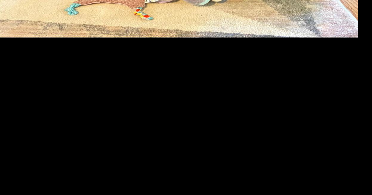 Some gifted dogs can learn new toy names by eavesdropping on owners ...