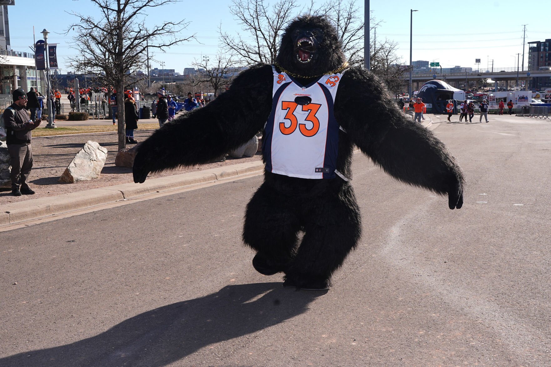 Bills Broncos Football | Sports | couriernews.com