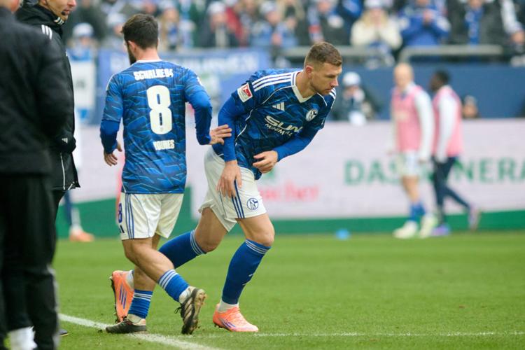 Edin Džeko repays jubilant welcome by scoring on his Schalke debut ...