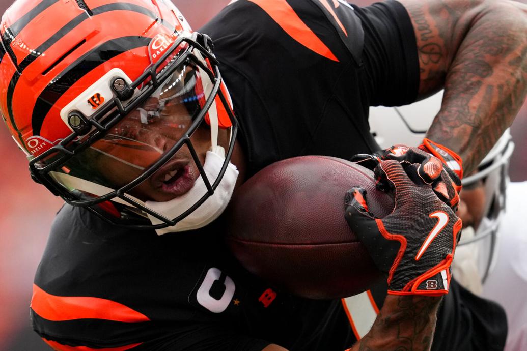 APTOPIX Cardinals Bengals Football | Sports | couriernews.com