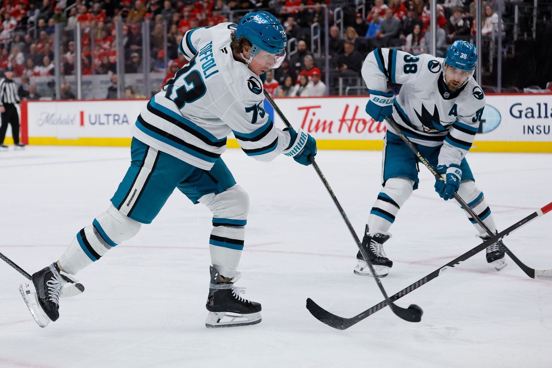 Sharks Red Wings Hockey | Sports | couriernews.com