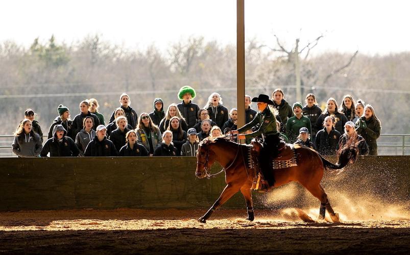 Meimerstorf leads Baylor into Big 12 equestrian meet | Sports ...