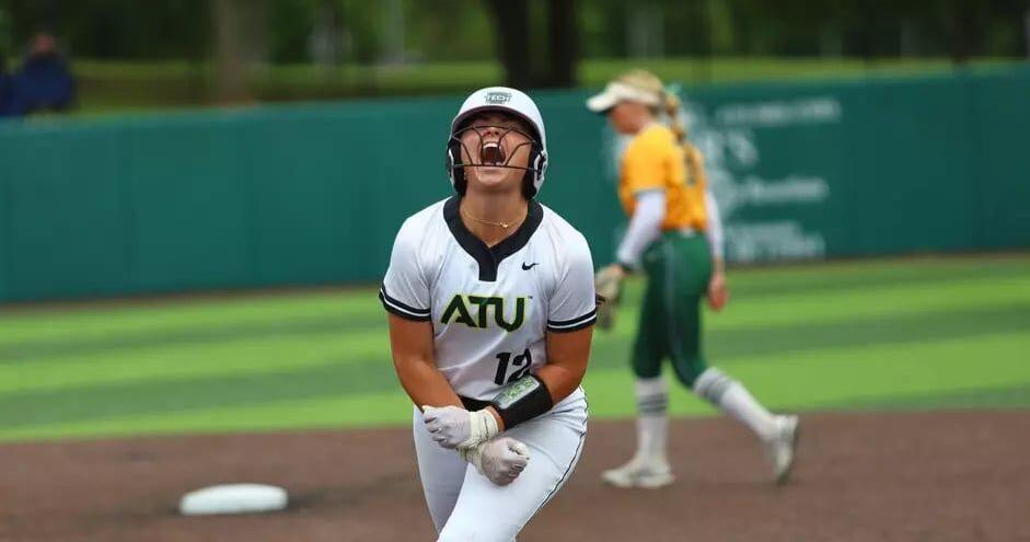 Golden Suns walk-off No. 17 Bison in series finale | Sports ...