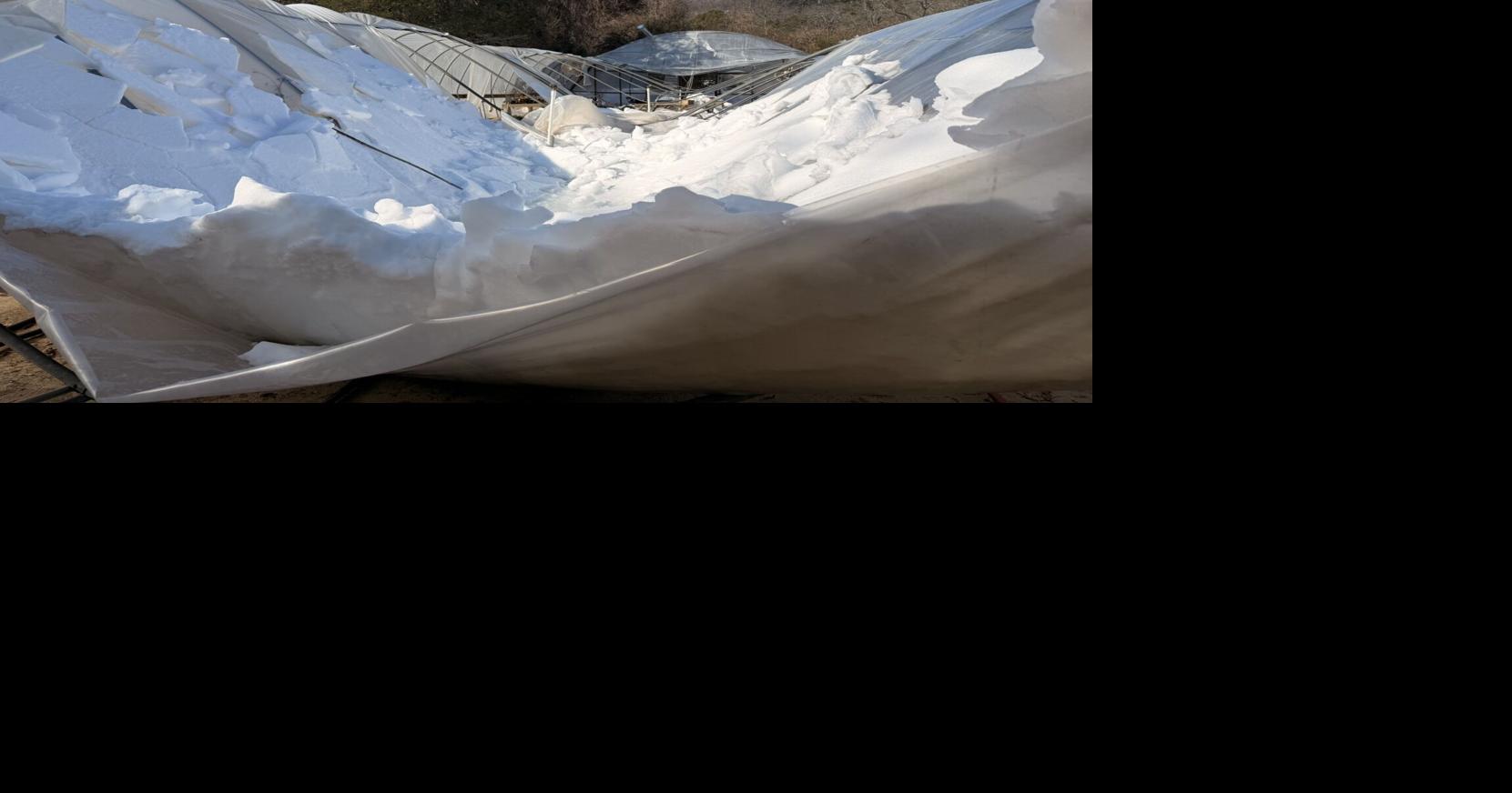 Snow collapses on buildings, businesses | News | couriernews.com