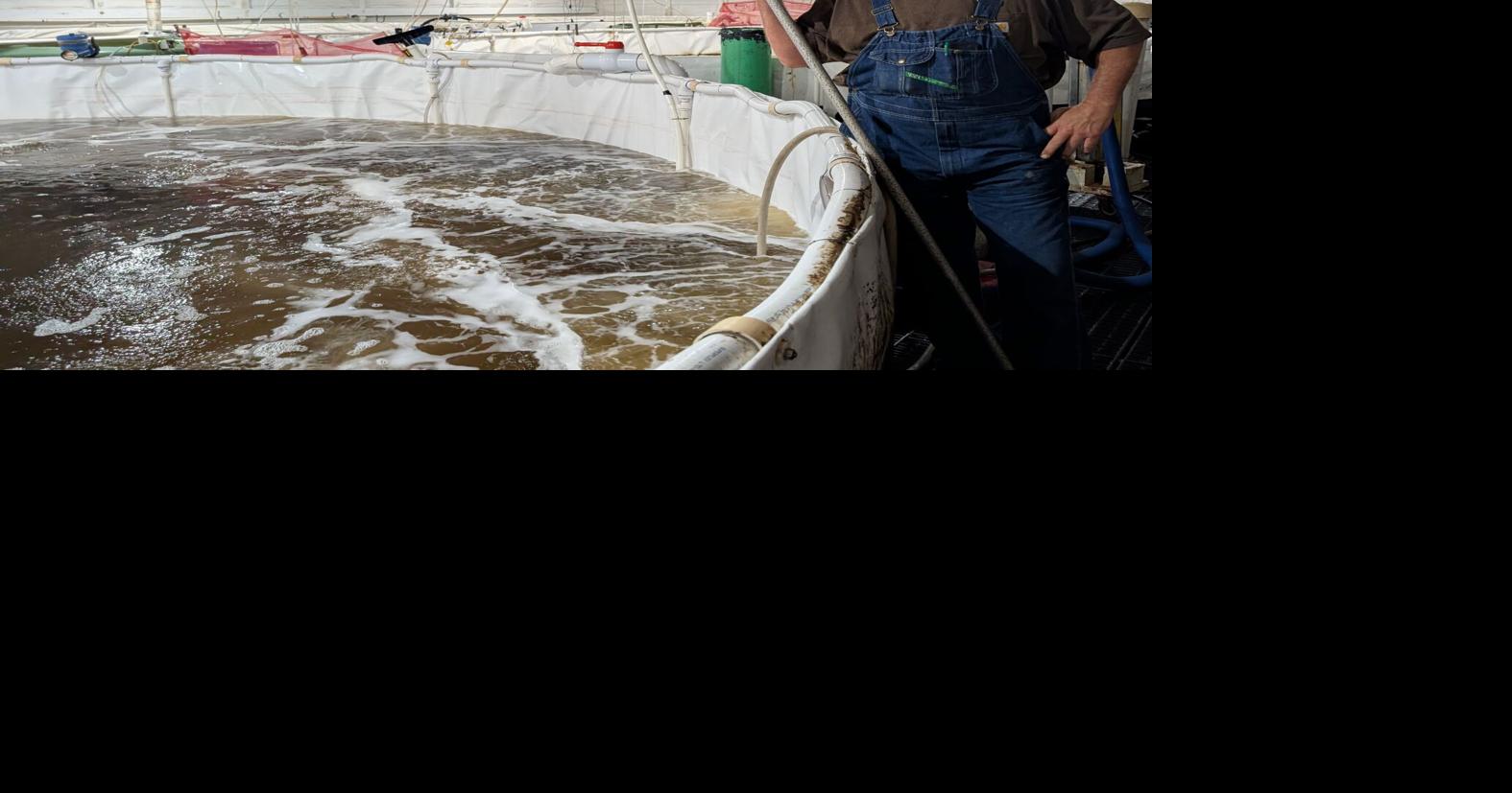 Shrimp farmer finding his way in relatively uncharted waters | News ...