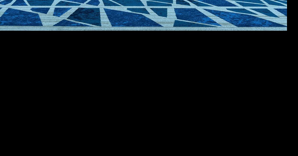 Dance team achieves pom finals at Nationals | News | cpioneer.com