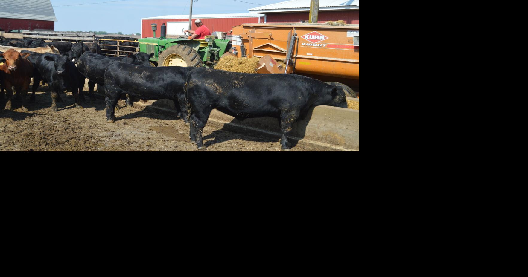 Kurt breaks down the why of rising beef prices