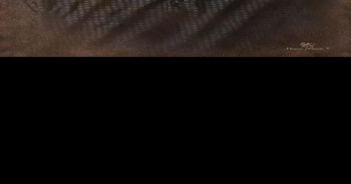 Richard C. Moore | Obituaries | cpioneer.com