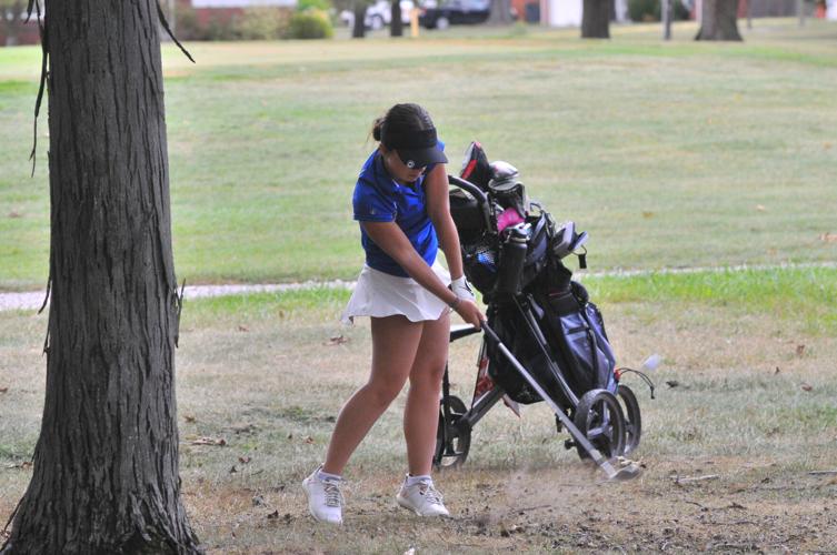 Golf spotlight: DHS freshman Hesselschwardt making splash in first ...