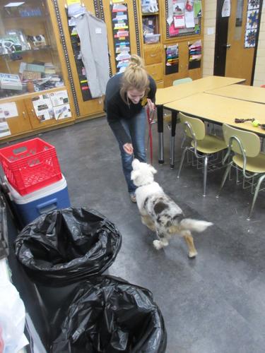 Deaf puppy having big impact at Fairview High School | Local News ...