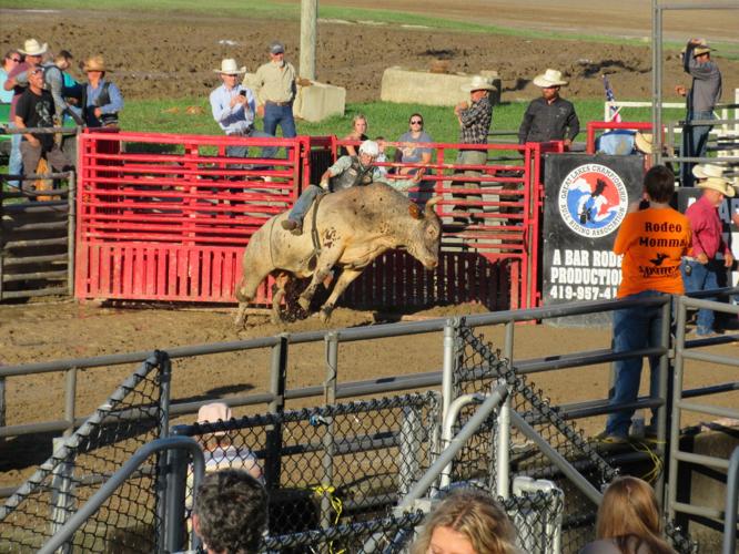 Rodeo fills the grandstand at the Defiance County Fair | News ...