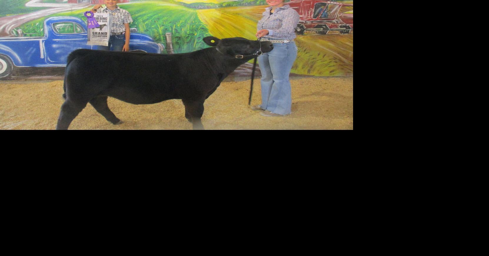 Grand champion beef feeder | Farm | crescent-news.com