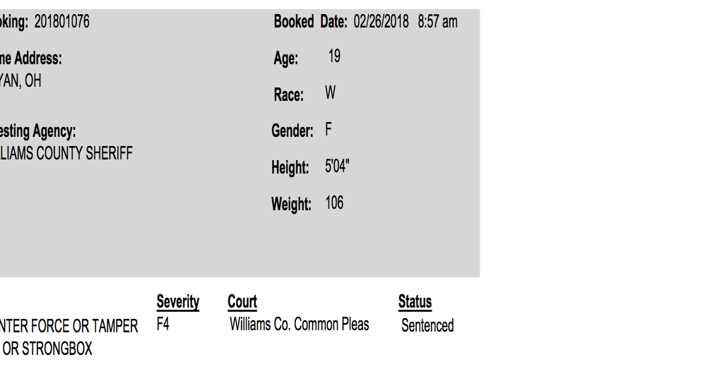 Michelle Dobson | Booking Photos | crescent-news.com