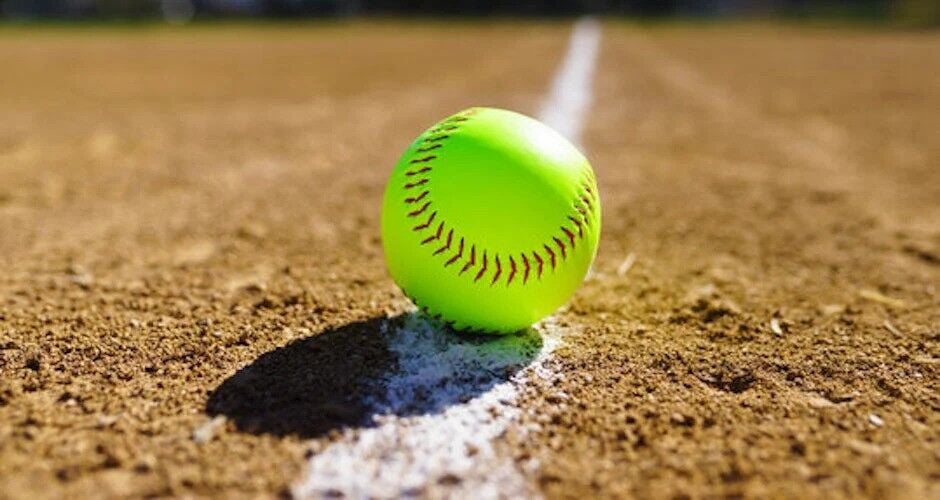 Wednesday softball: Paulding rolls past Delta in tourney triumph | Push ...