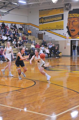 Saturday girls basketball: Titans just too much for Fairview, 59-58 ...