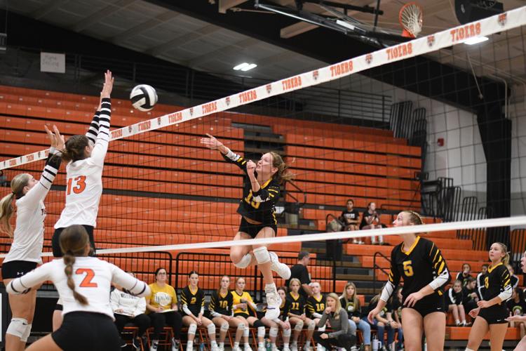 Thursday volleyball: Fairview sweeps Liberty Center in battle of one ...