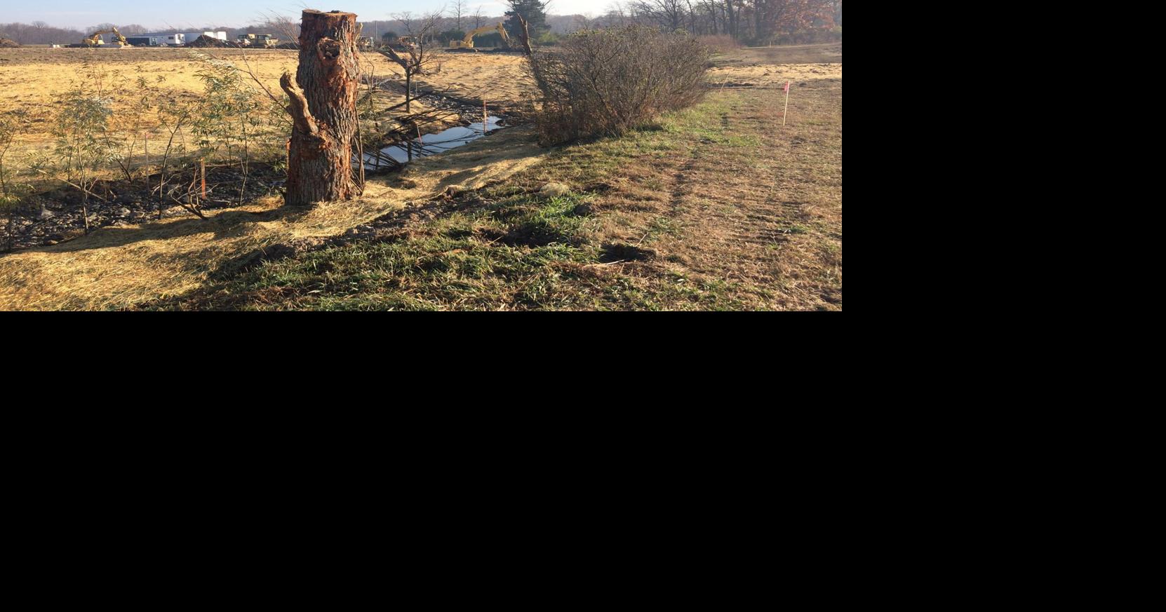 Stream, wetlands restoration project may aid entire watershed | Local ...