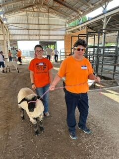 Blue Ribbon Classic set at Defiance County Fair | Local Farm | crescent ...