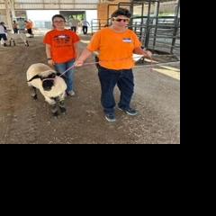 Blue Ribbon Classic set at Defiance County Fair | Local Farm | crescent ...