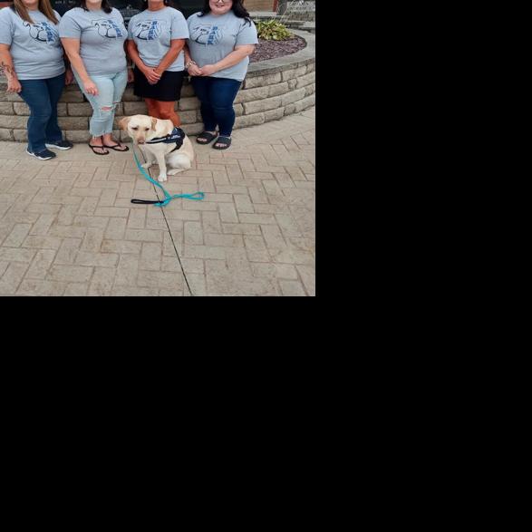 Defiance Elementary School has a facility dog for the first time ...