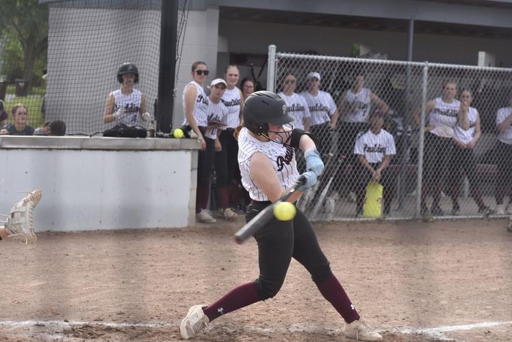 2025 Softball Preview: Strong group returning for Paulding | Baseball ...