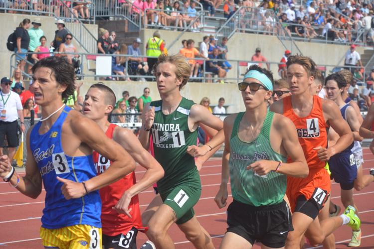 State track: DHS's Dalton earns podium on day two, LC relay second ...
