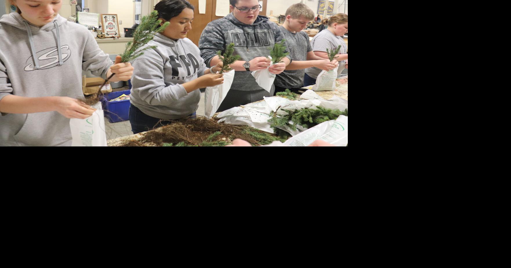 Tree packing | Local Farm | crescent-news.com