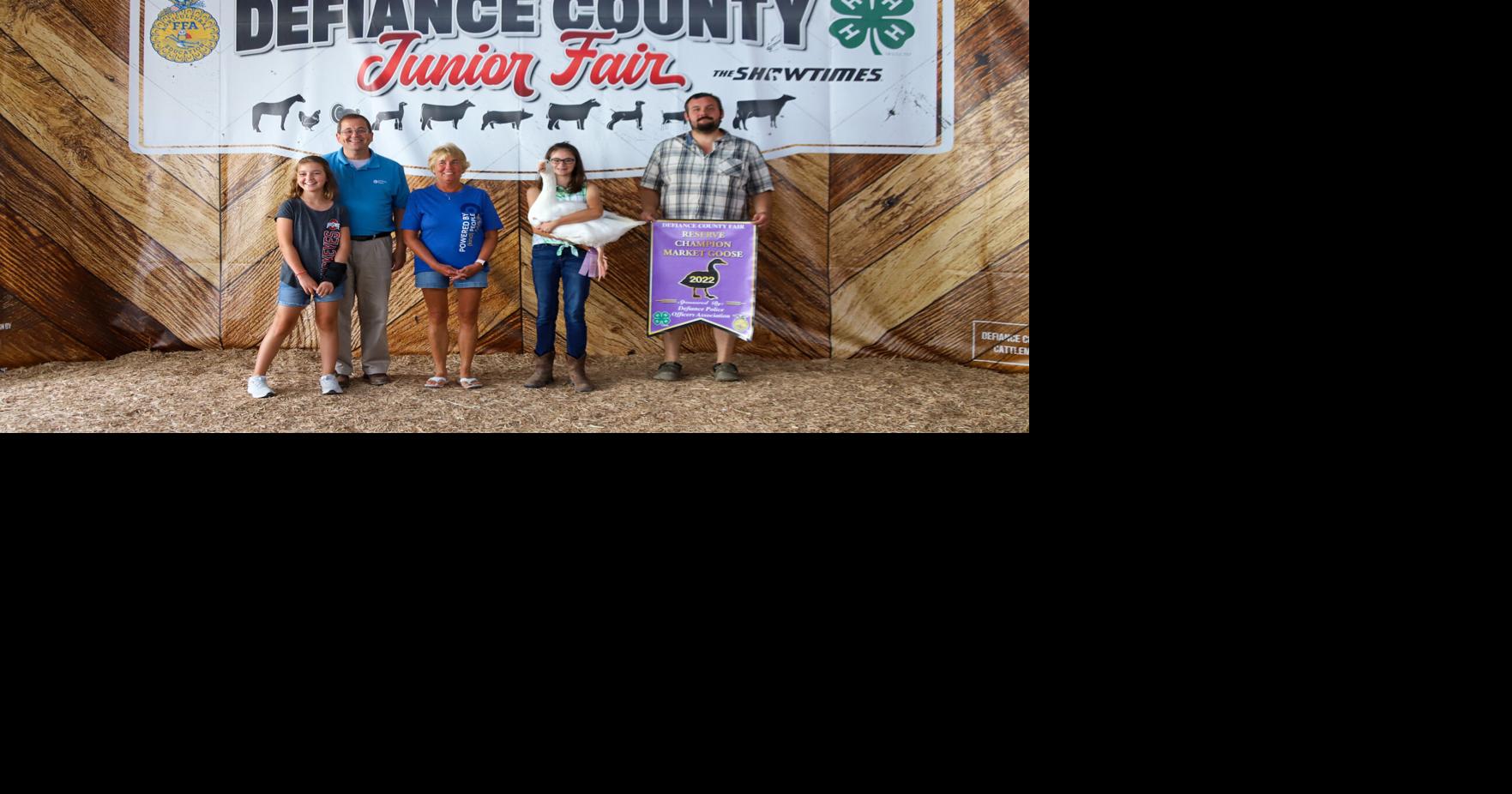 Reserve champion market goose at the Defiance County Fair | Fairs ...